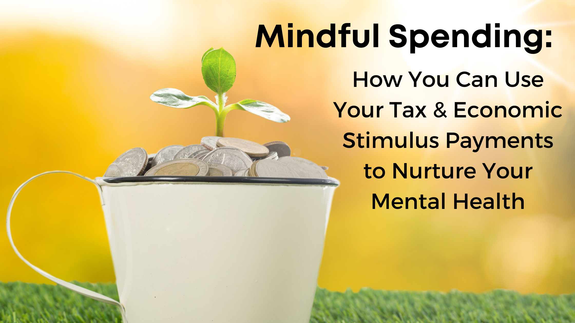 Mindful Spending: How To Use Your Tax & Economic Stimulus Payments to ...